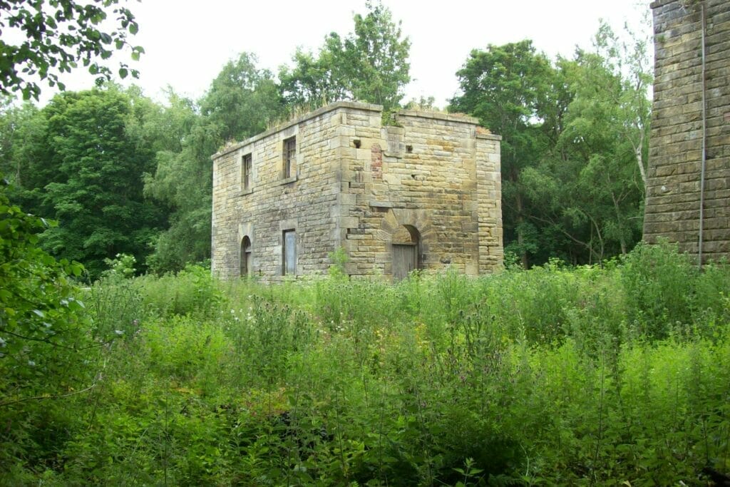 Wildlife at Woodside